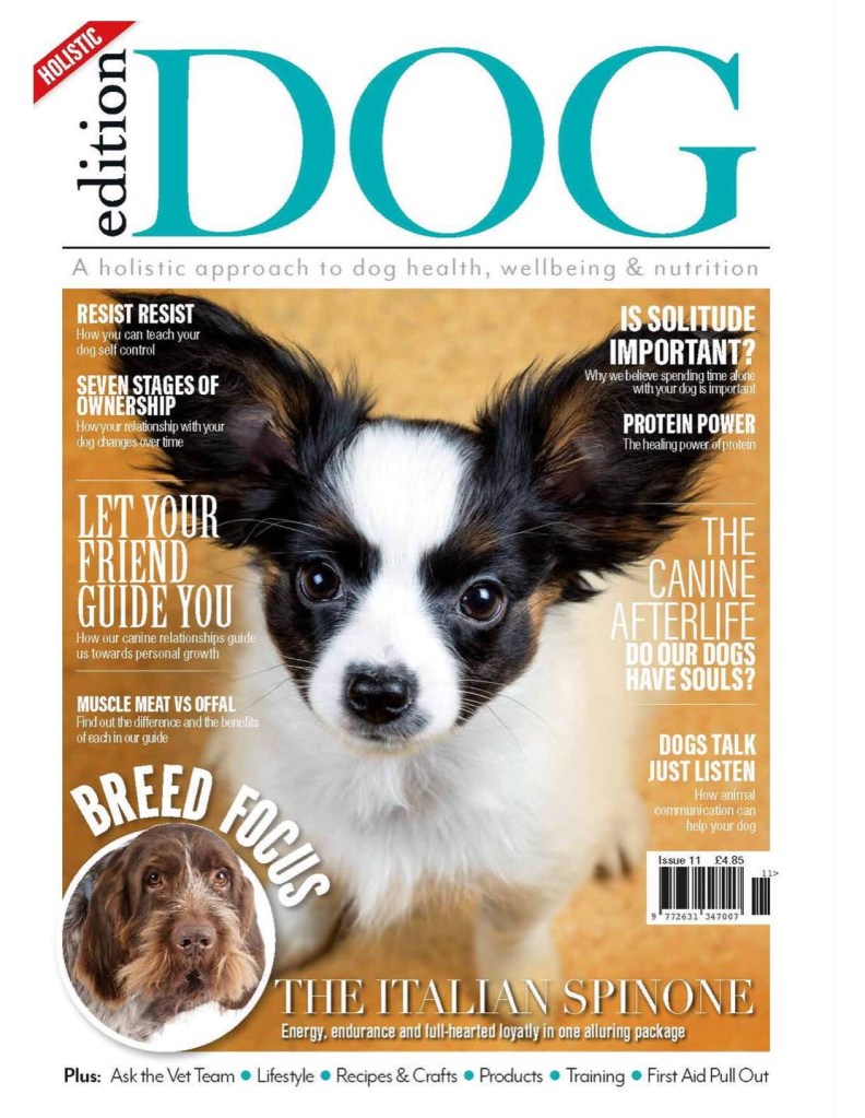 Edition Dog : The Seven Stages of Dog Ownership – Kate MacDougall