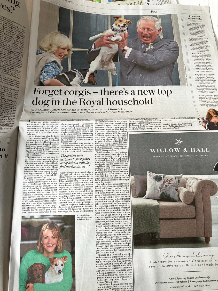 Corgis out, Jack Russells in! – Kate MacDougall